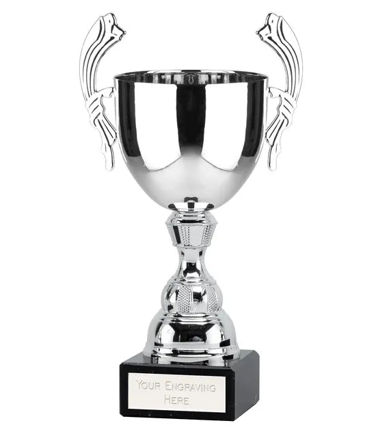 Silver Cup Pure Silver Cup Plate And Spoon Set At Best Price In